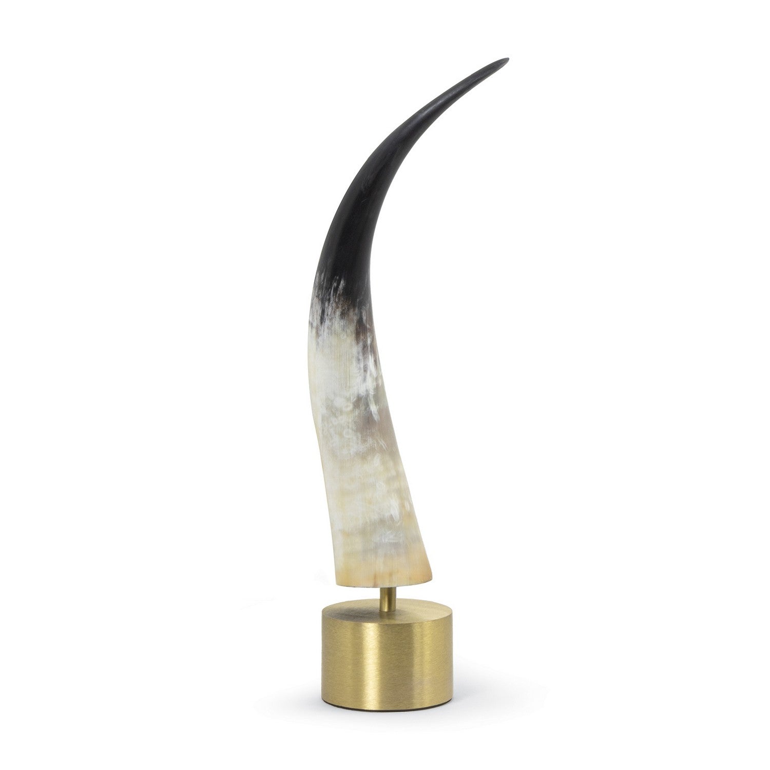 Regina Andrew - 20-1547 - Horn - Daylon - Natural – Design Shop By Shell