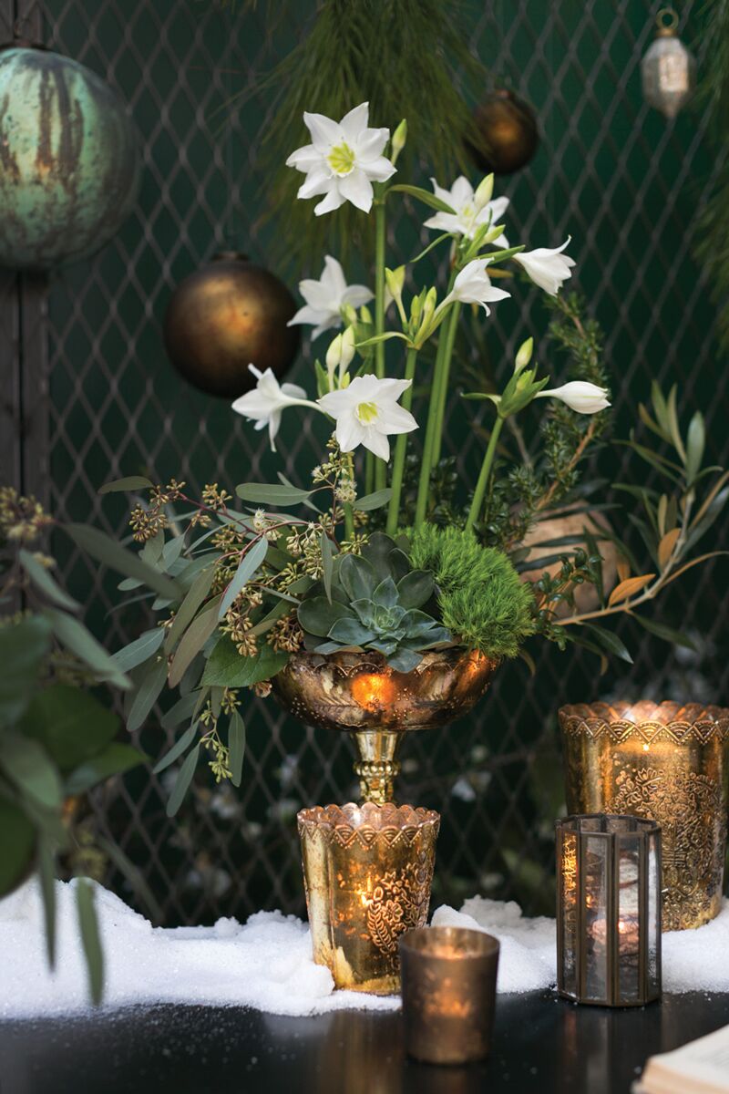 Design Shop Gold Desiray Compote Compote, 8" X 9.5" – Design Shop By Shell