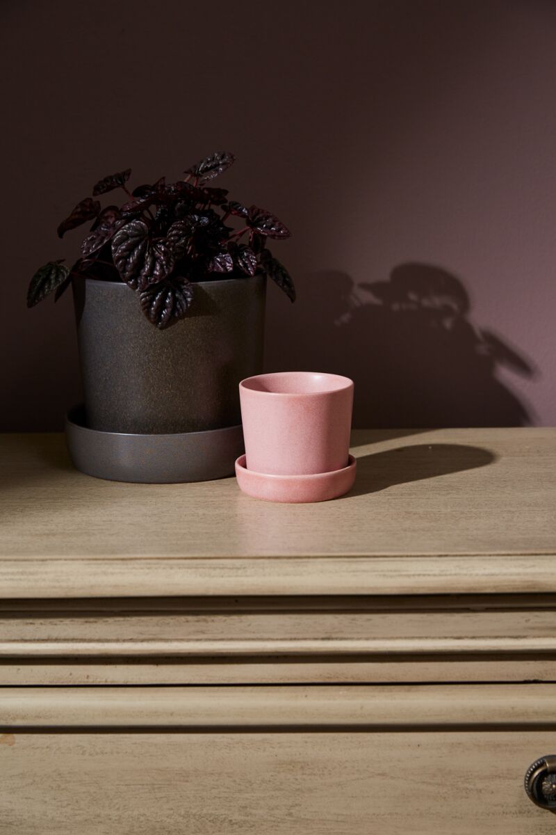 Design Shop Pink Watson Pot, 3.5" X 3.5", Set of 4. – Design Shop By Shell