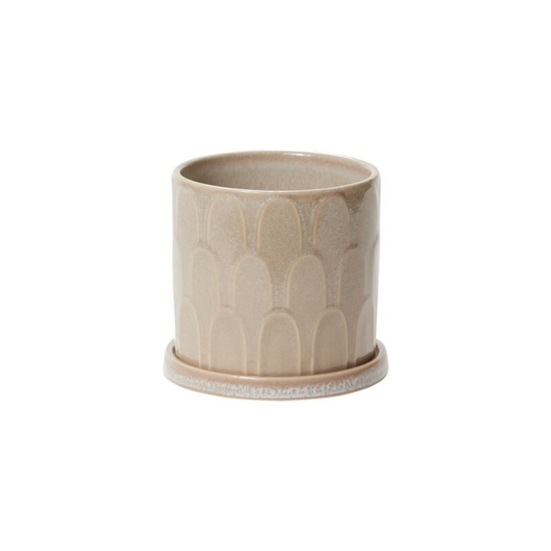 Design Shop Duncan Pot 5.5" X 5" – Design Shop By Shell