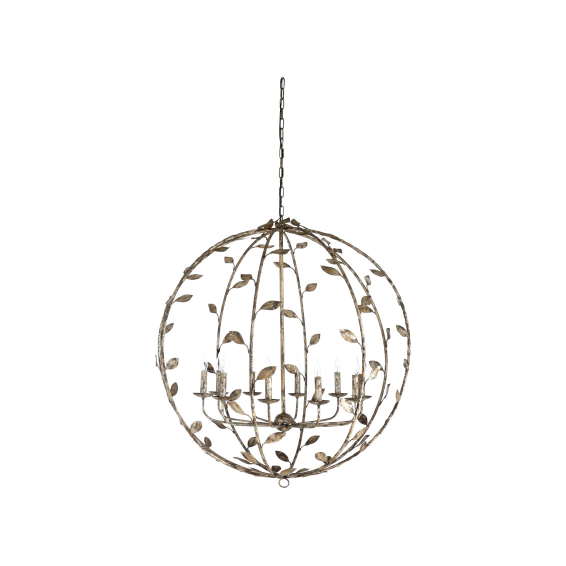 Wildwood Charlotte Chandelier – Design Shop By Shell