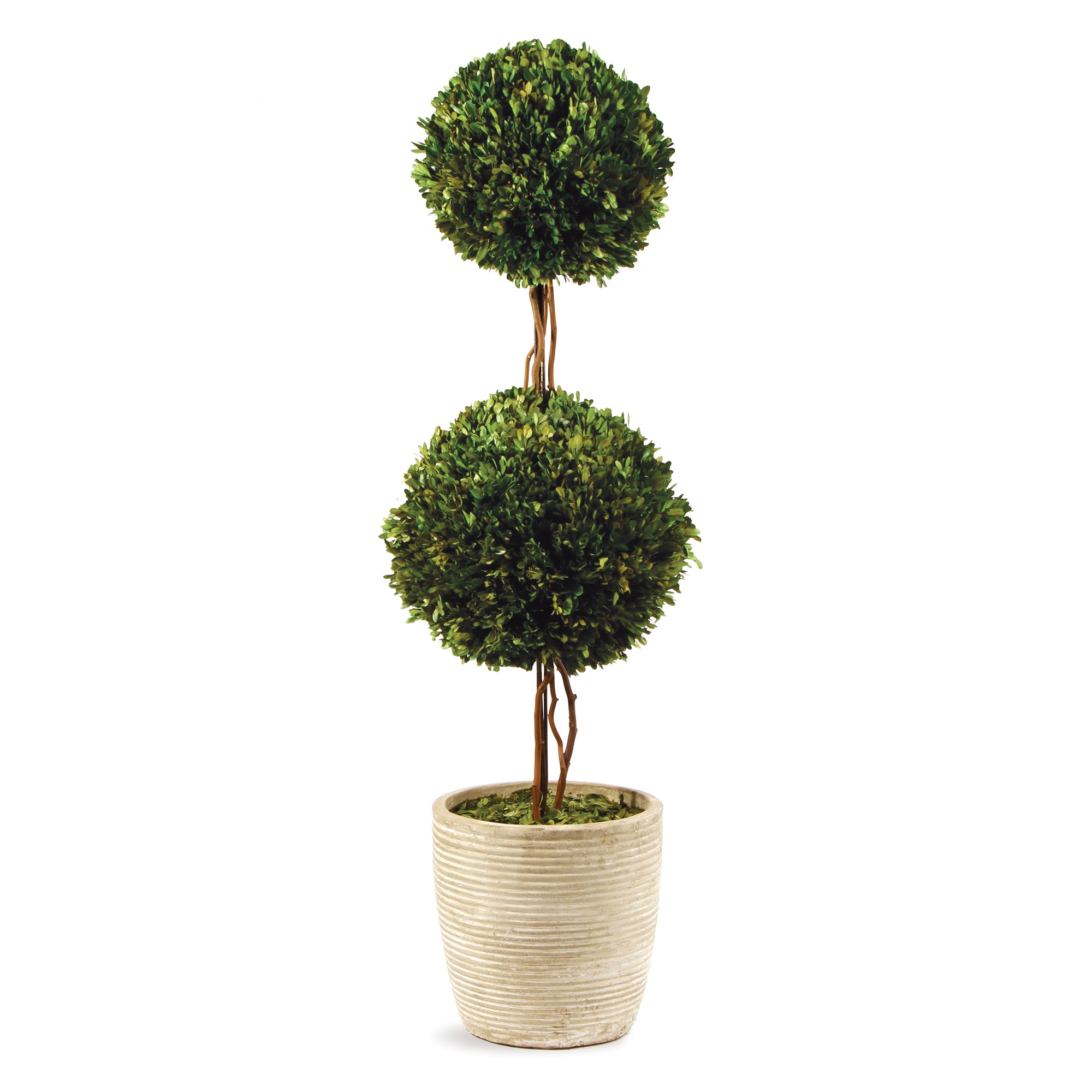 Design Shop Boxwood Double Sphere Topiary 28" – Design Shop By Shell