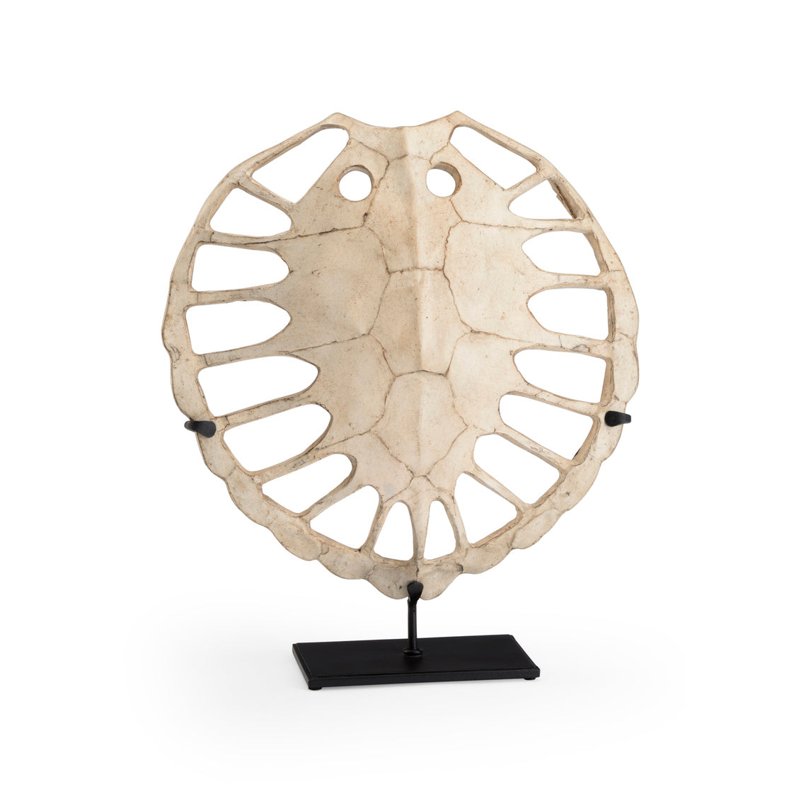 Wildwood Sulcata Turtle – Design Shop By Shell