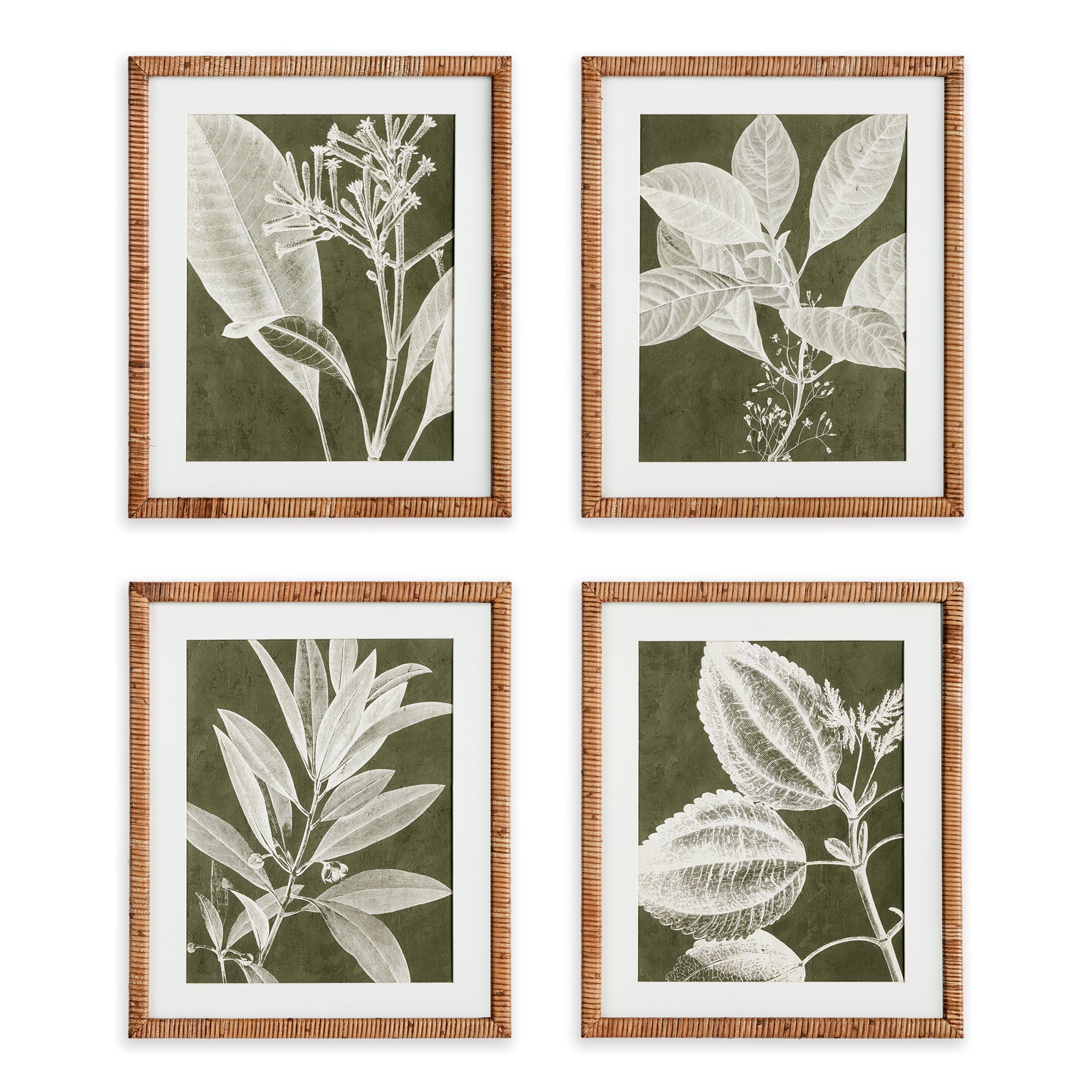 Design Shop Translucent Stem Prints, Set Of 4 – Design Shop By Shell