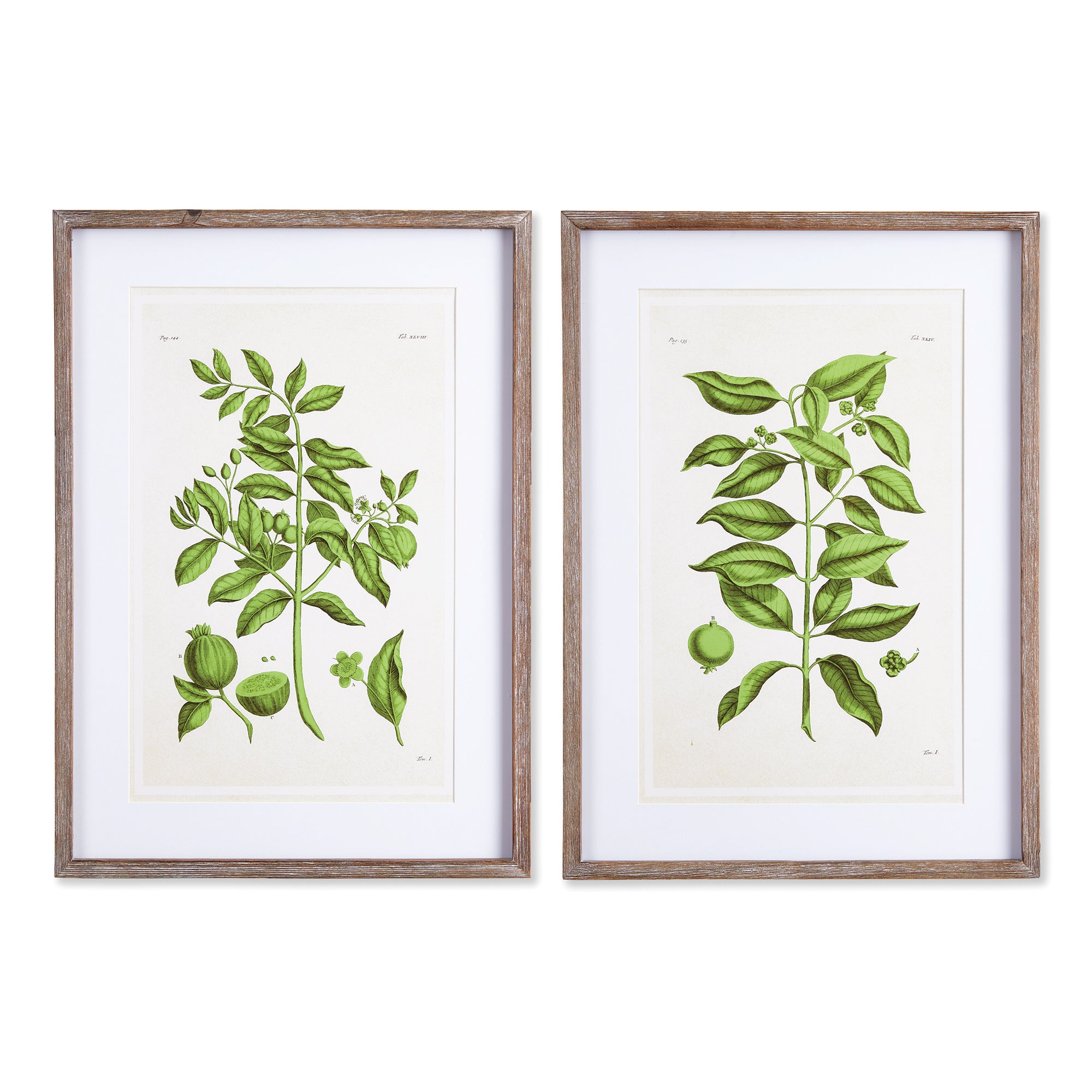 Design Shop Guava Prints, Set Of 2 – Design Shop By Shell