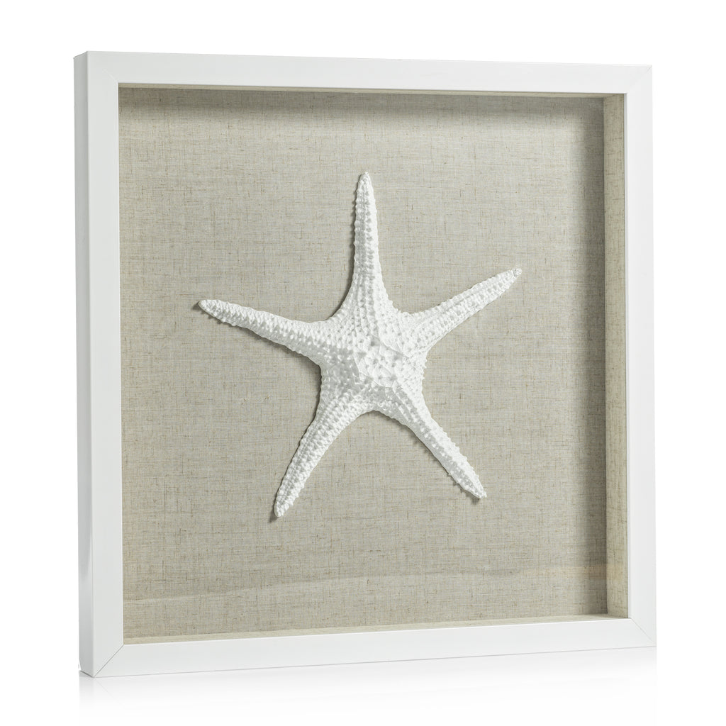 Zodax Aran White Framed Starfish Wall Décor – Design Shop By Shell