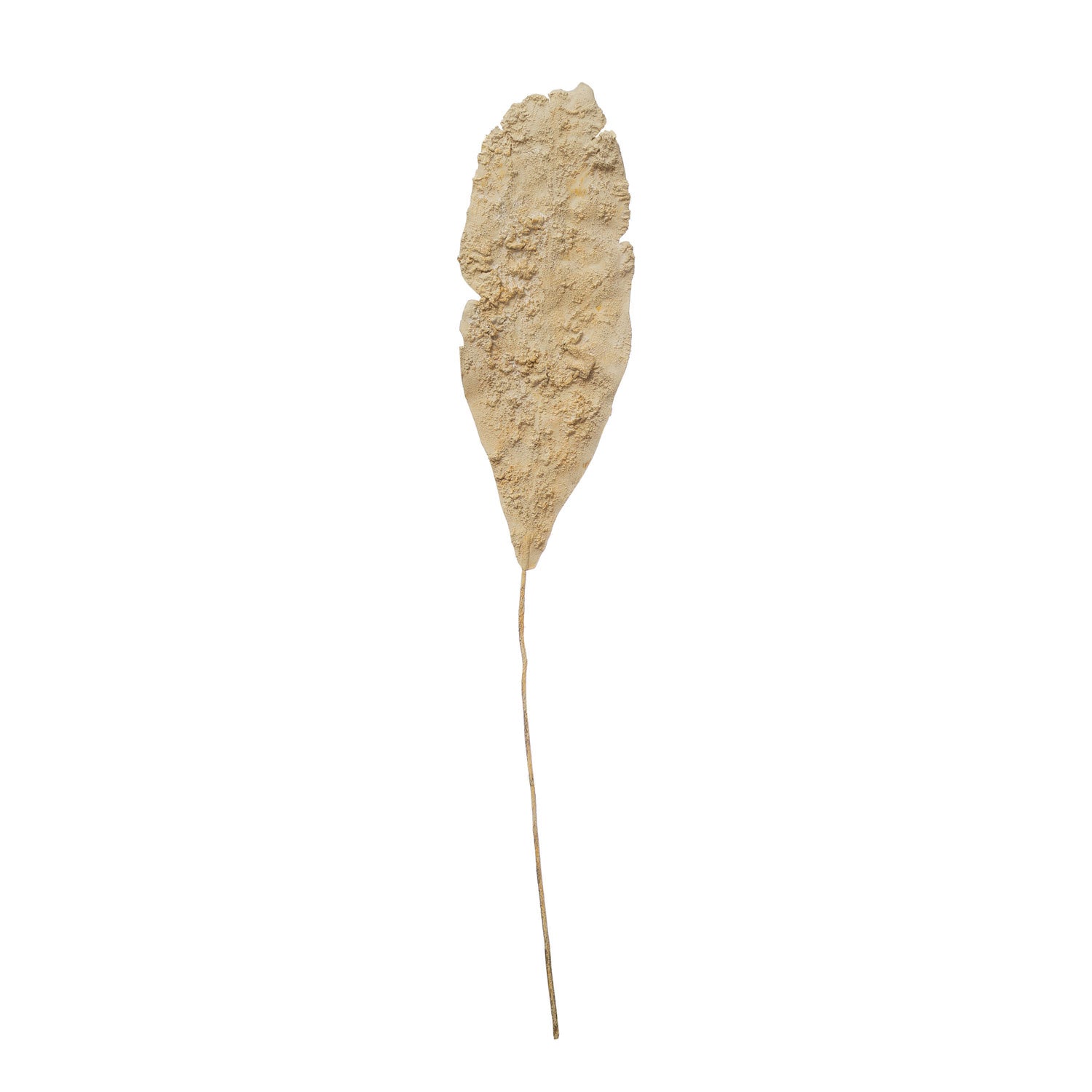 Design Shop Faux Leaf, Plaster Finish – Design Shop By Shell